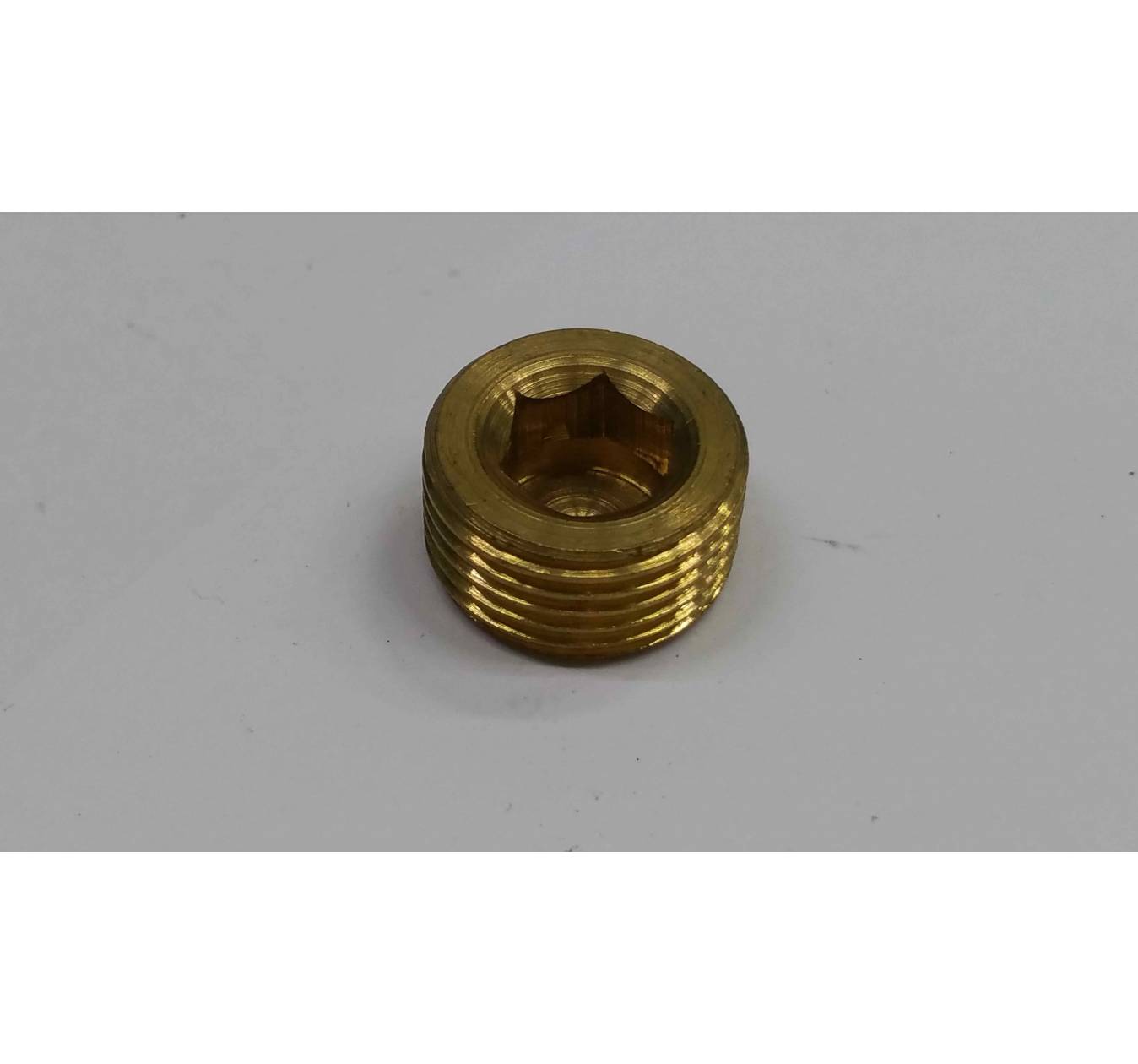 Brass Male Plug 1"